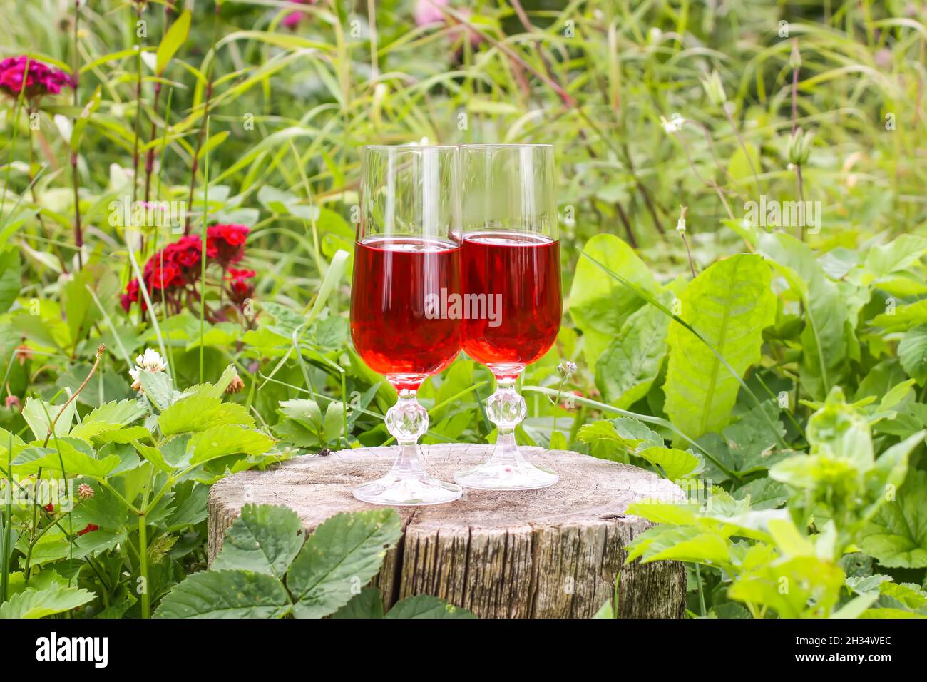 Two glasses with homemade red vine on tree stump in summer park Stock ...