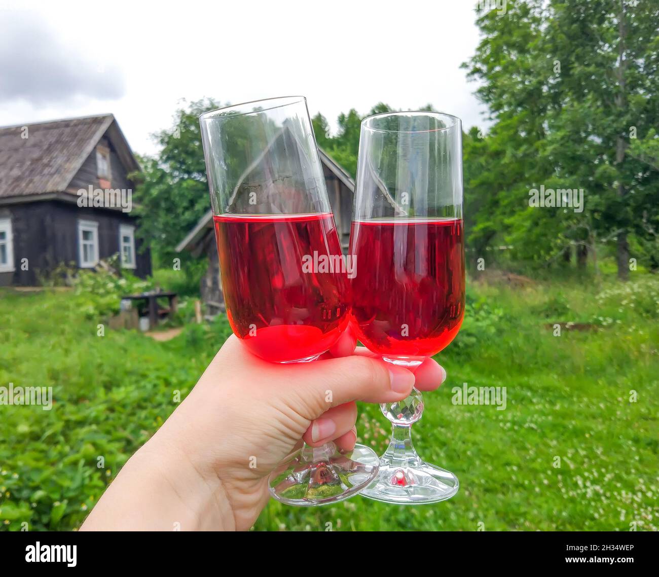 Two glasses with homemade red vine in a hand on farm yard background in ...