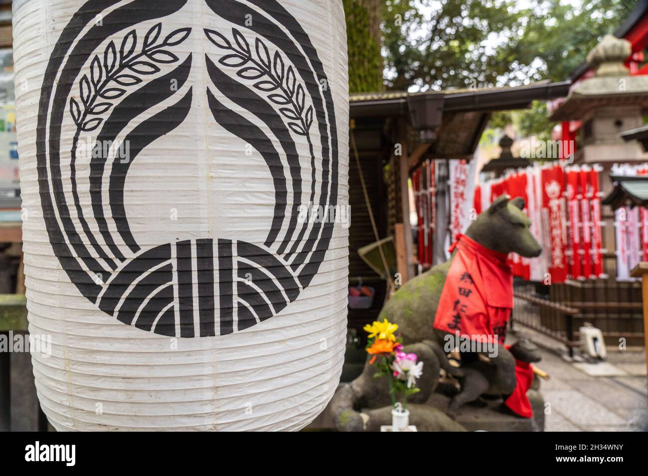 A traditional paper lantern and statue of Inari Kitsune or fox goddess ...