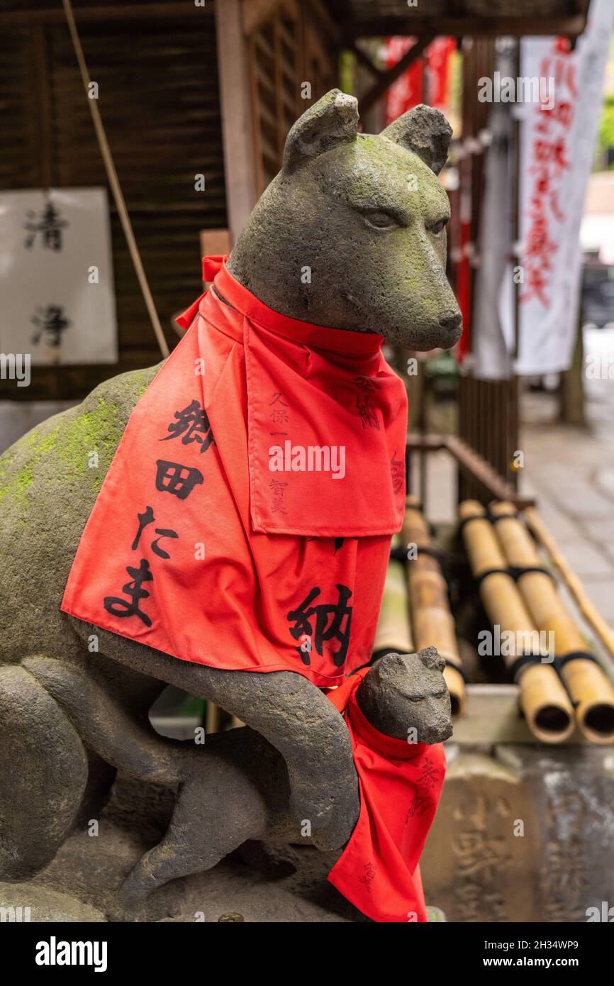 A statue of Inari Kitsune or fox goddess, wearing a red bib believed to ...