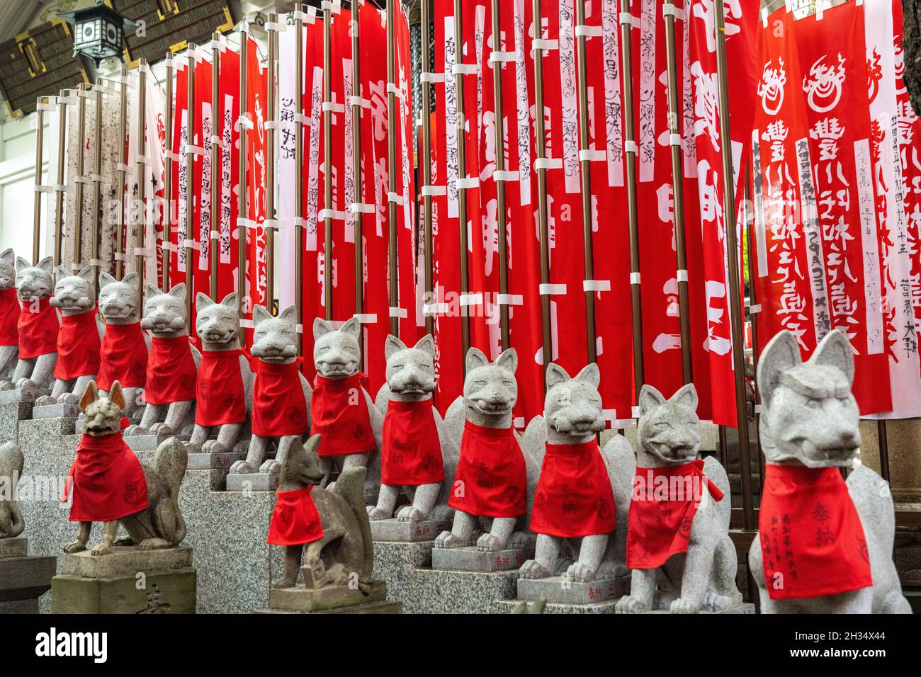 Red fox mascot hi-res stock photography and images - Alamy