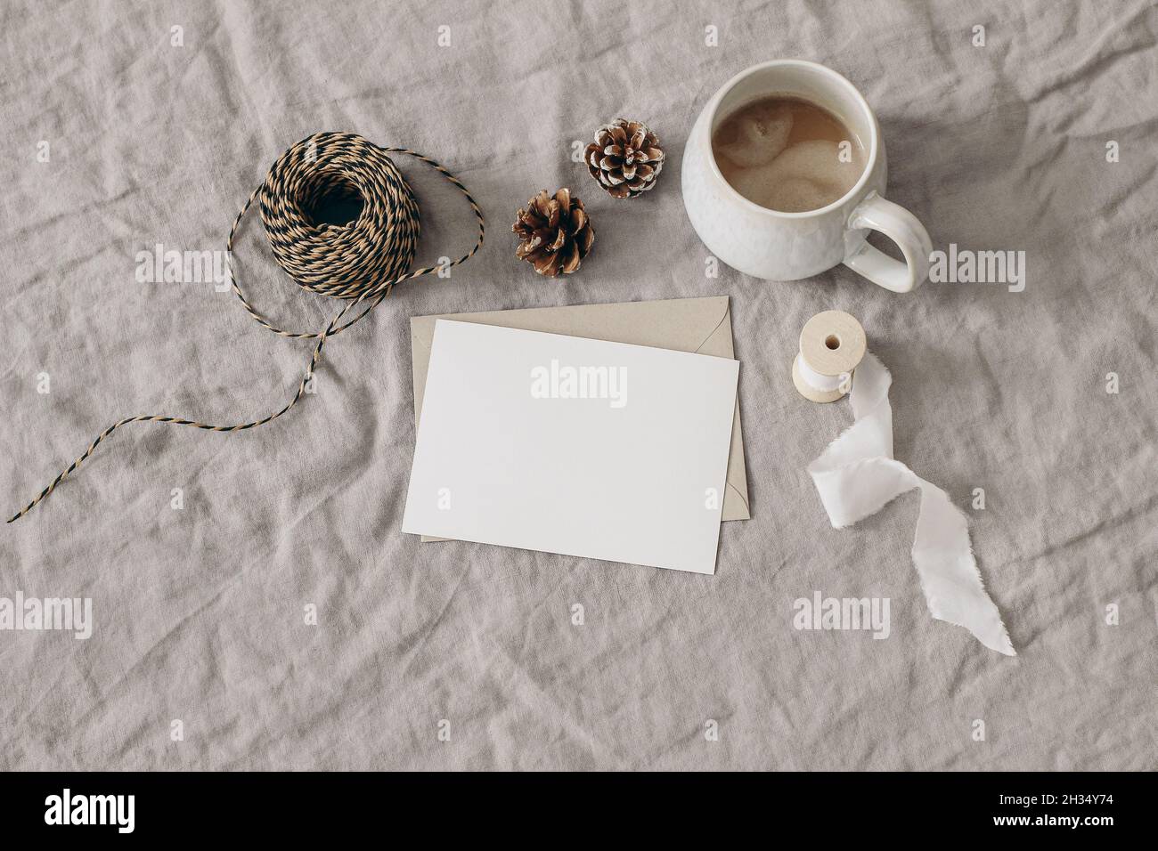 Still life with cones hi-res stock photography and images - Alamy