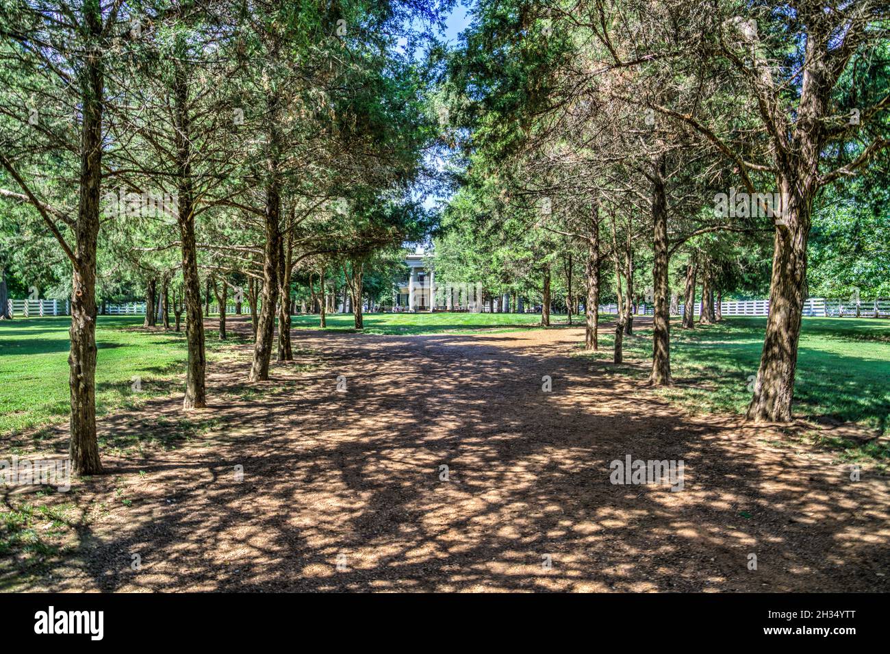 The tree lined road leading to Andrew Jackson’s Hermitage in Nashville ...