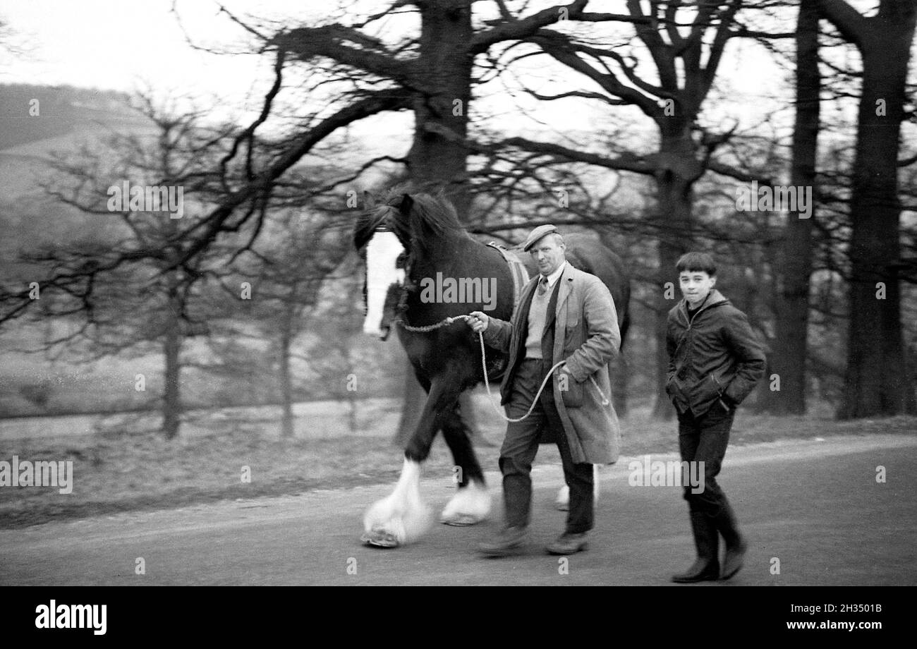 Horse farmer Black and White Stock Photos & Images - Alamy