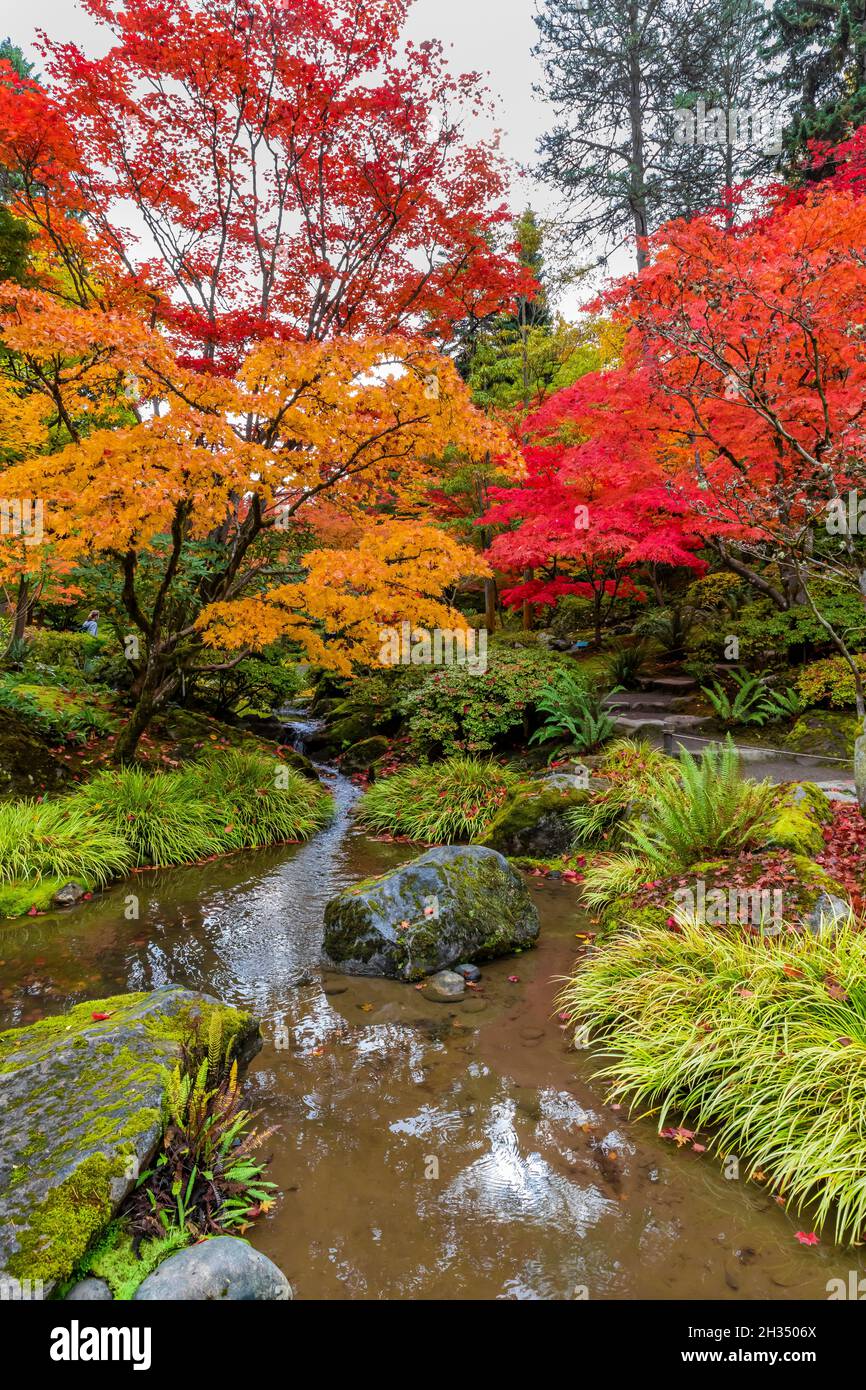 Lovely pond in Seattle Japanese Garden, Seattle, Washington State, USA ...