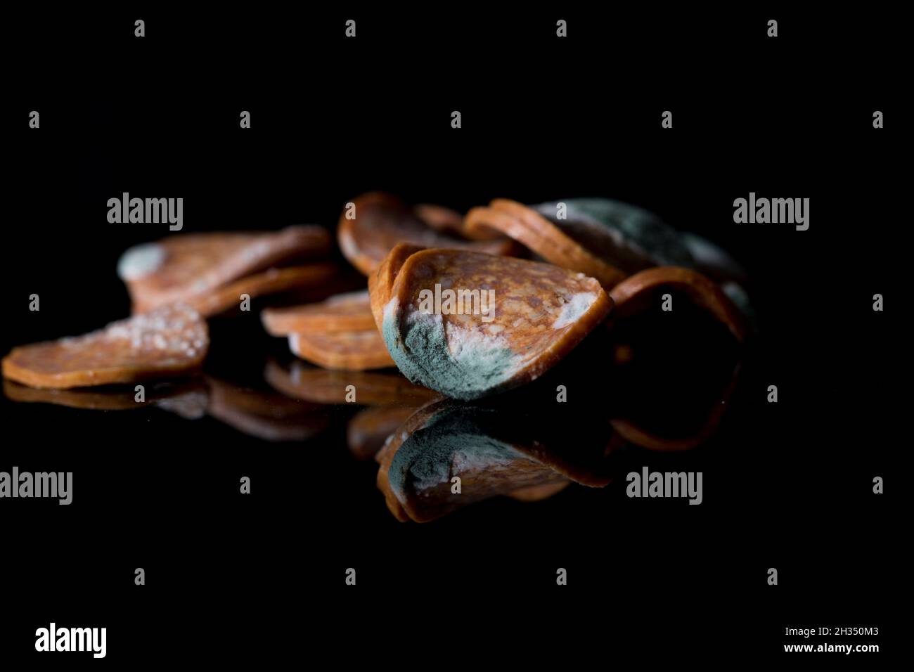 Spoiled food moldy meat close up. Slices of mold covered pepperoni ...