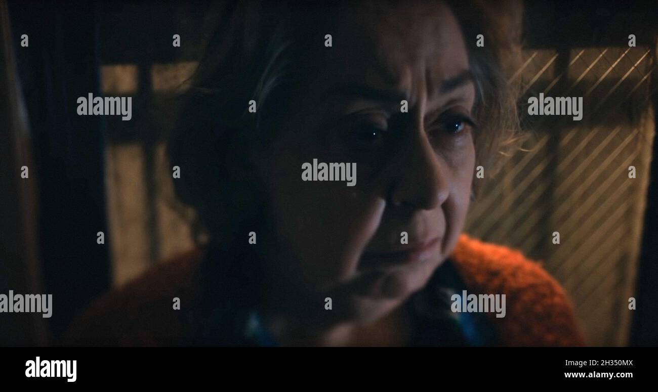 THE HUMANS, Jayne Houdyshell, 2021. © Showtime Networks / Courtesy ...