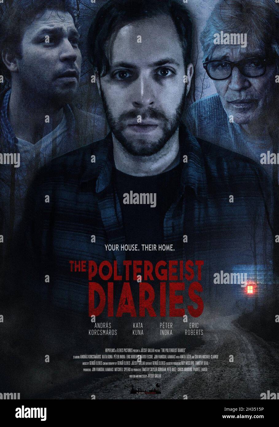 THE POLTERGEIST DIARIES, poster, from left: Peter Inoka, Andras ...