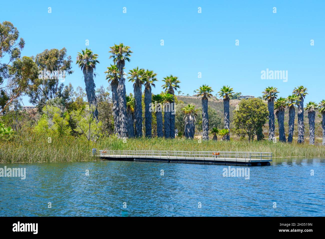 Including blue grass hi-res stock photography and images - Alamy