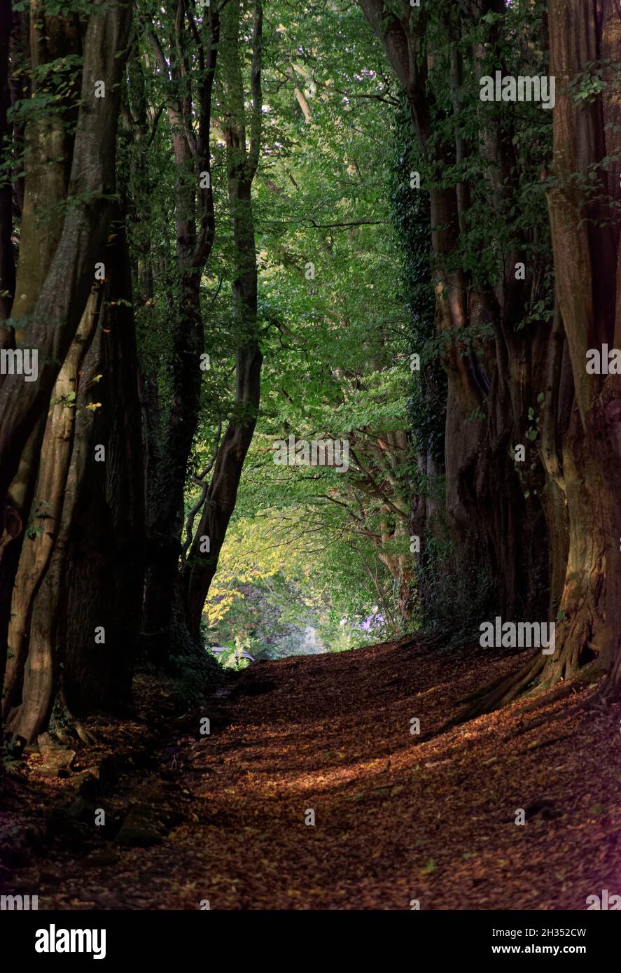 Englishcombe village hi-res stock photography and images - Alamy