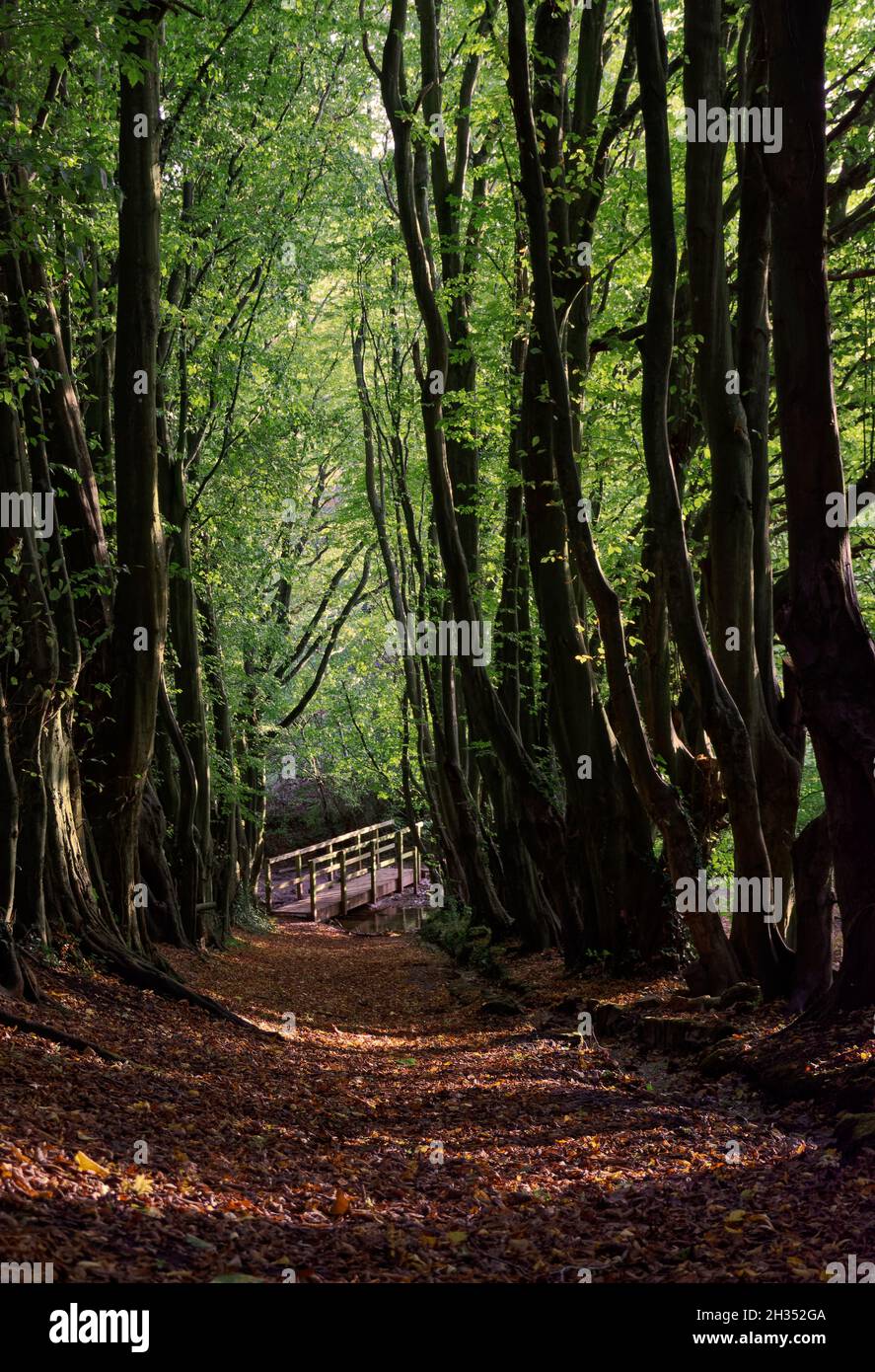 Englishcombe village hi-res stock photography and images - Alamy