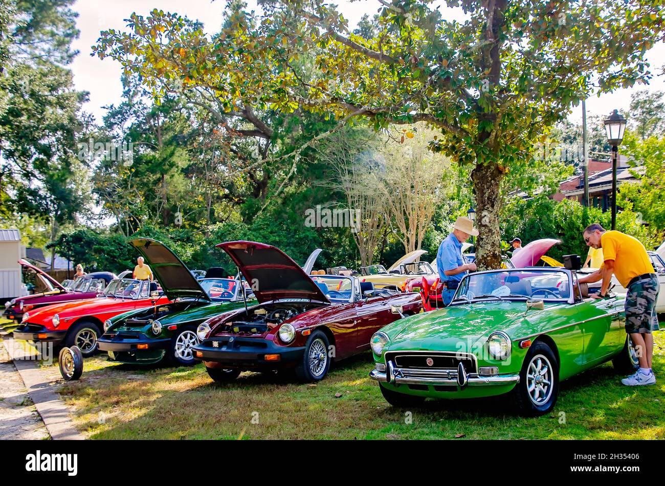 MGB Roadsters are displayed at the 31st annual British Car Festival ...