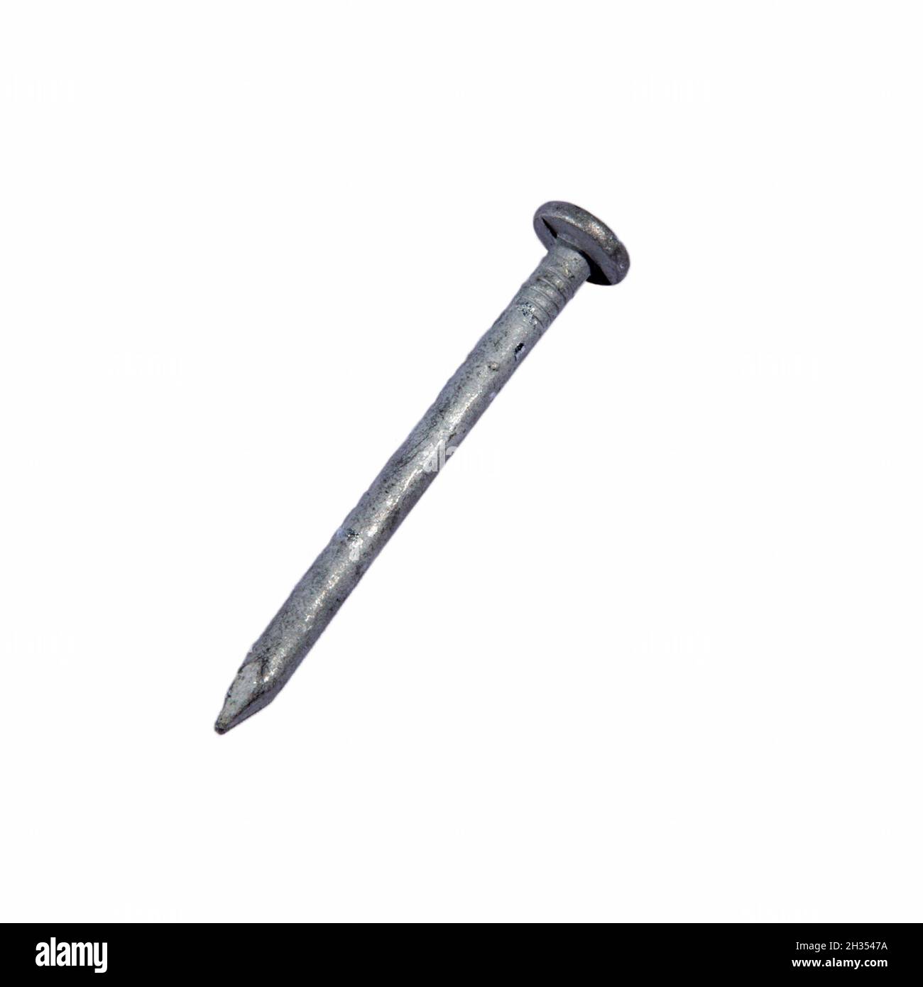 Flat head hi-res stock photography and images - Alamy