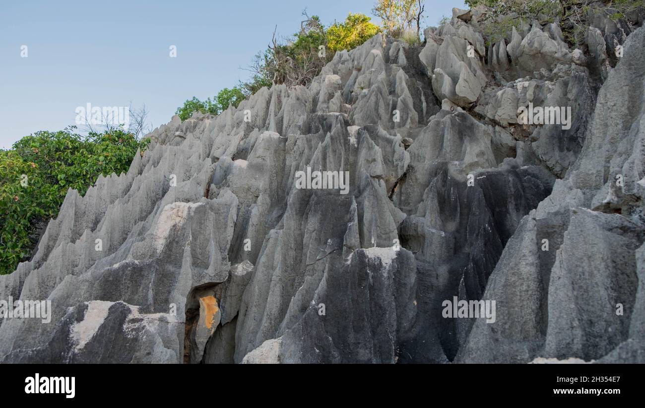 Wing formations hi-res stock photography and images - Alamy