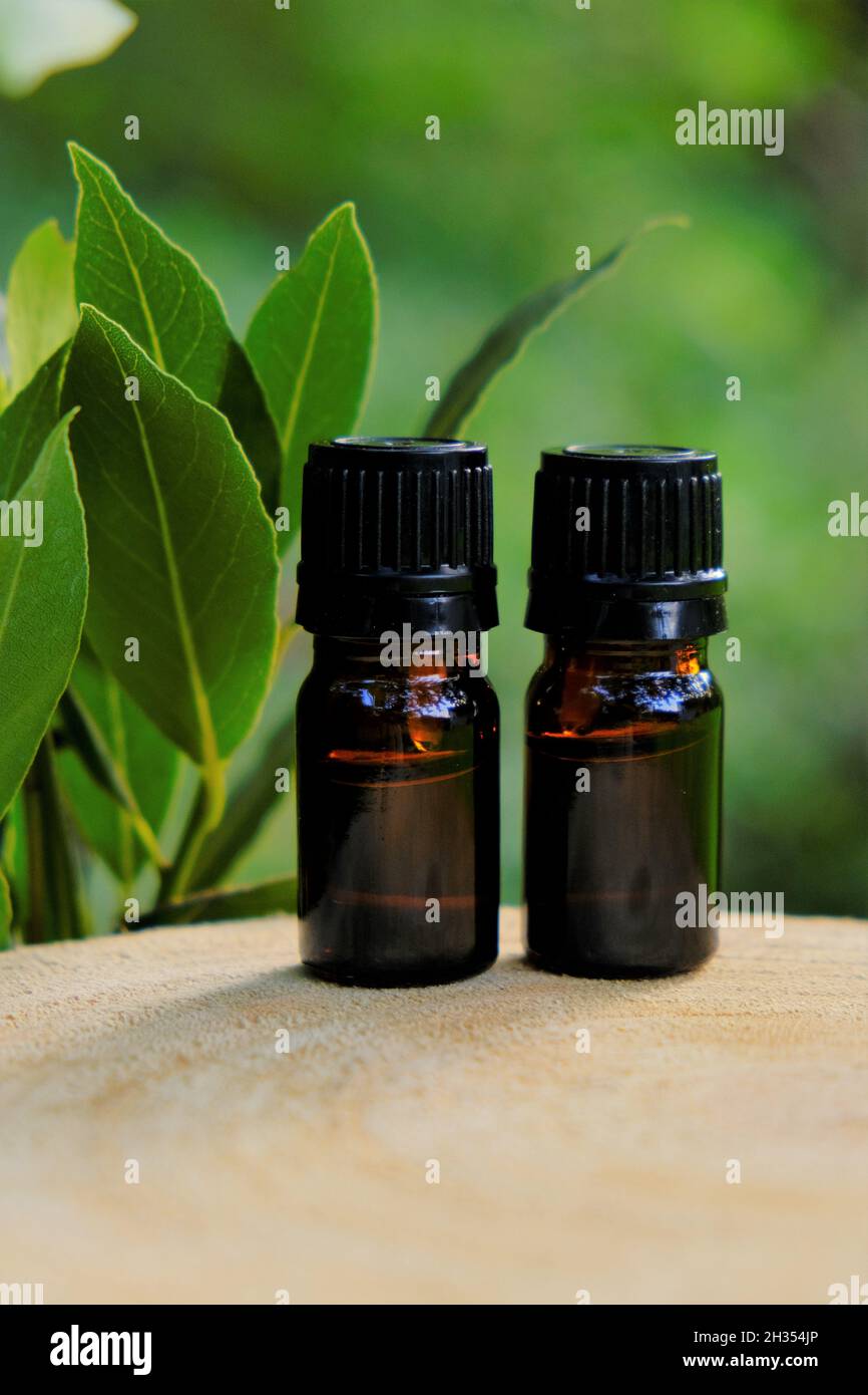laurel oil.Bay leaf oil.Essential oil . Laurel essential oil.Glass ...