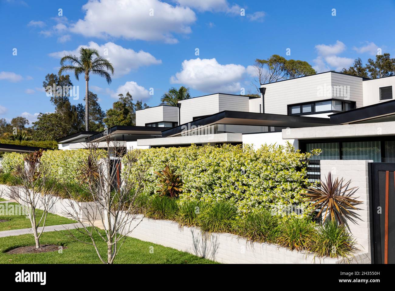 Townhouses in Avalon Beach suburb of Sydney with designed garden of ...