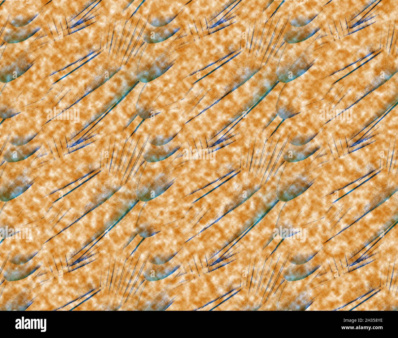 Geometric print dress hi-res stock photography and images - Alamy