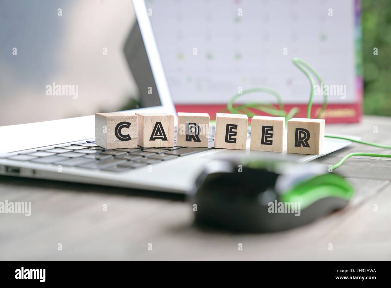 Career, typed word on wood cubes, on top of computer laptop. Job or ...