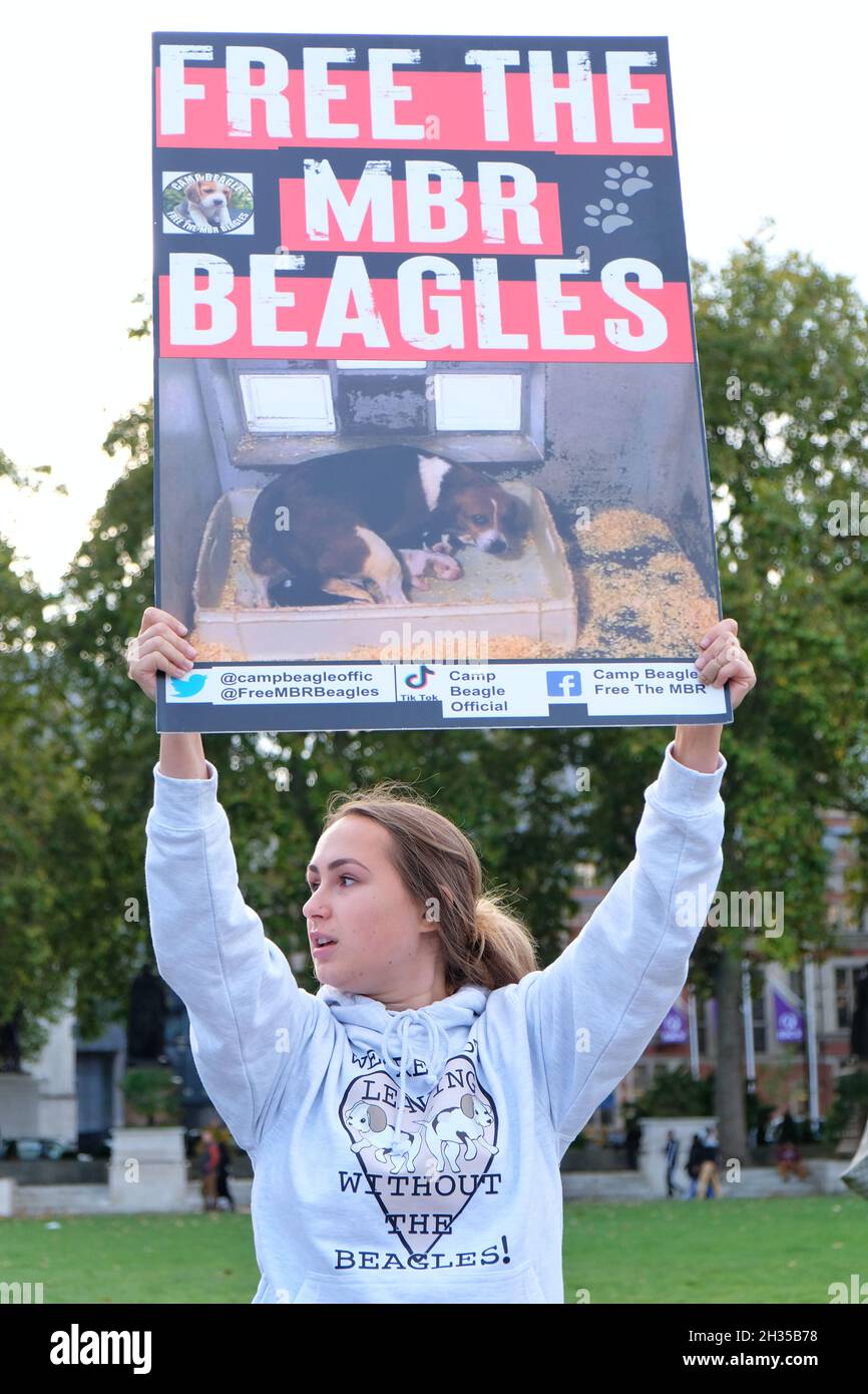 London, UK. 'Free the MBR Beagles' protesters call to end the use of ...