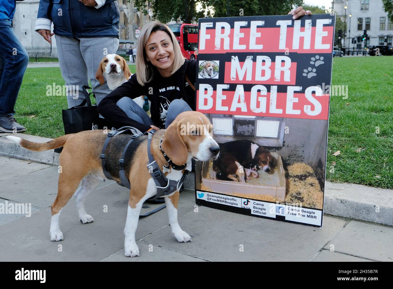 London, UK. 'Free the MBR Beagles' protesters call to end the use of ...