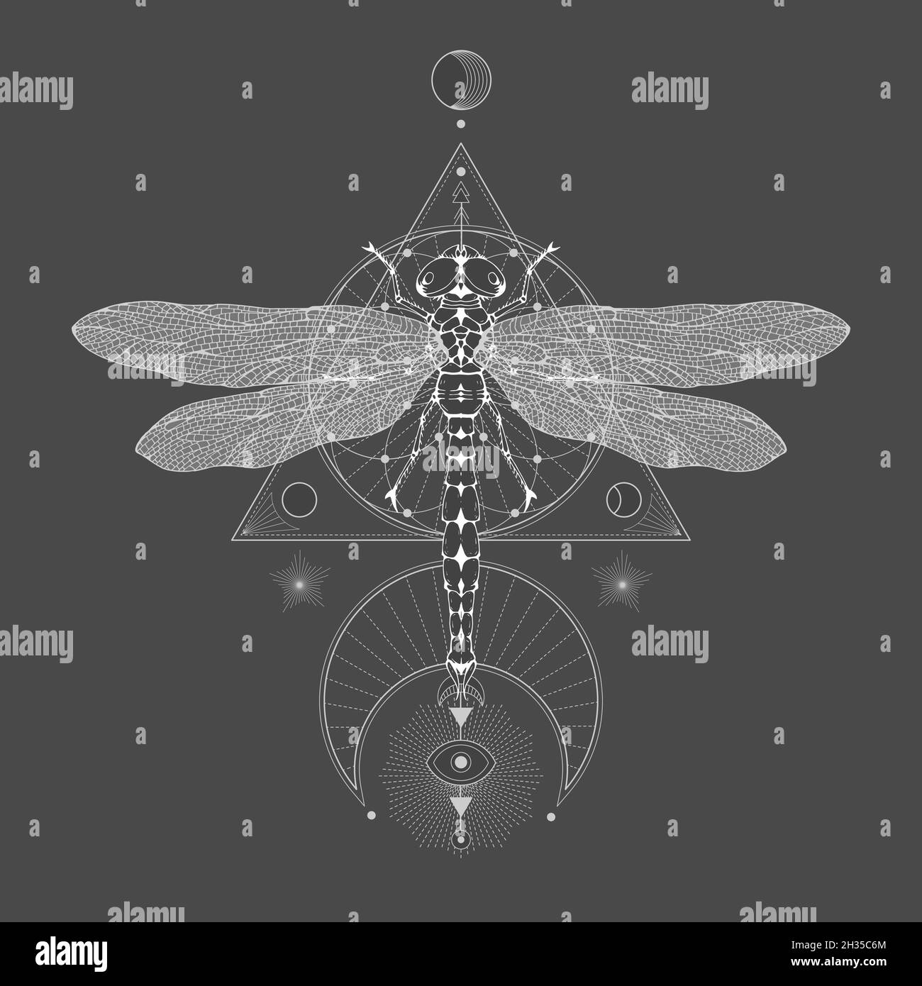 Fly insect poster vintage Black and White Stock Photos & Images - Alamy