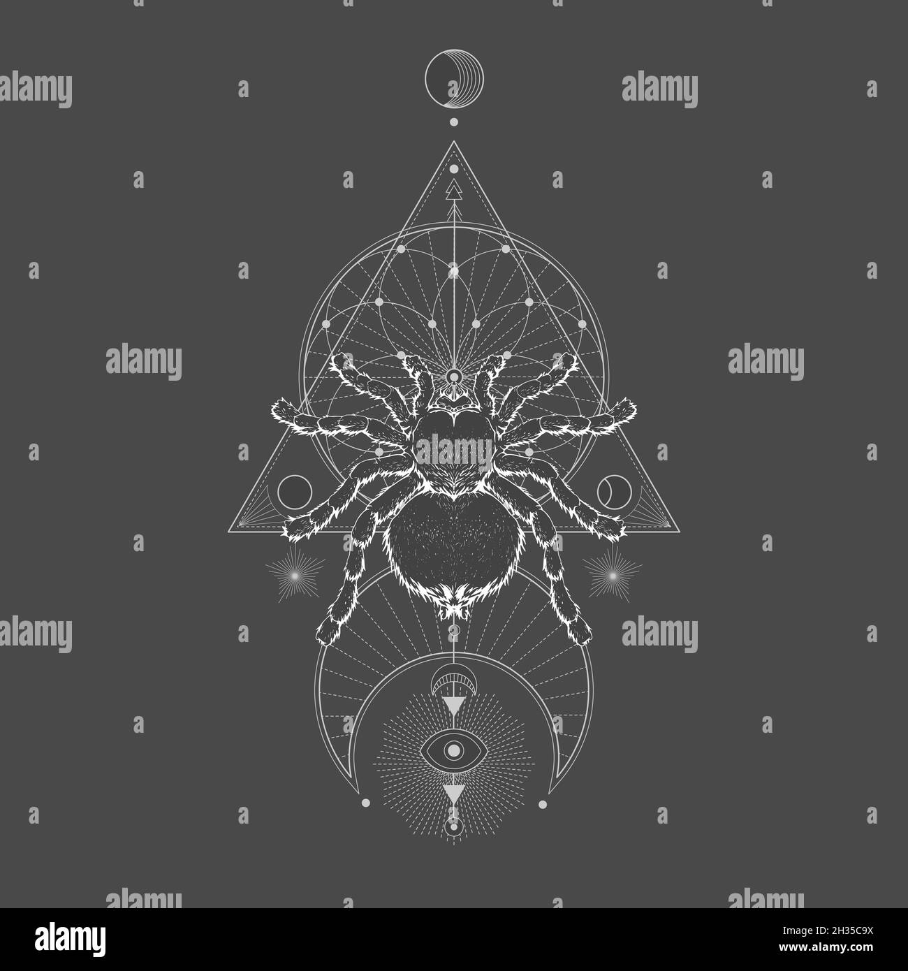 Vector illustration with hand drawn spider tarantula and Sacred ...