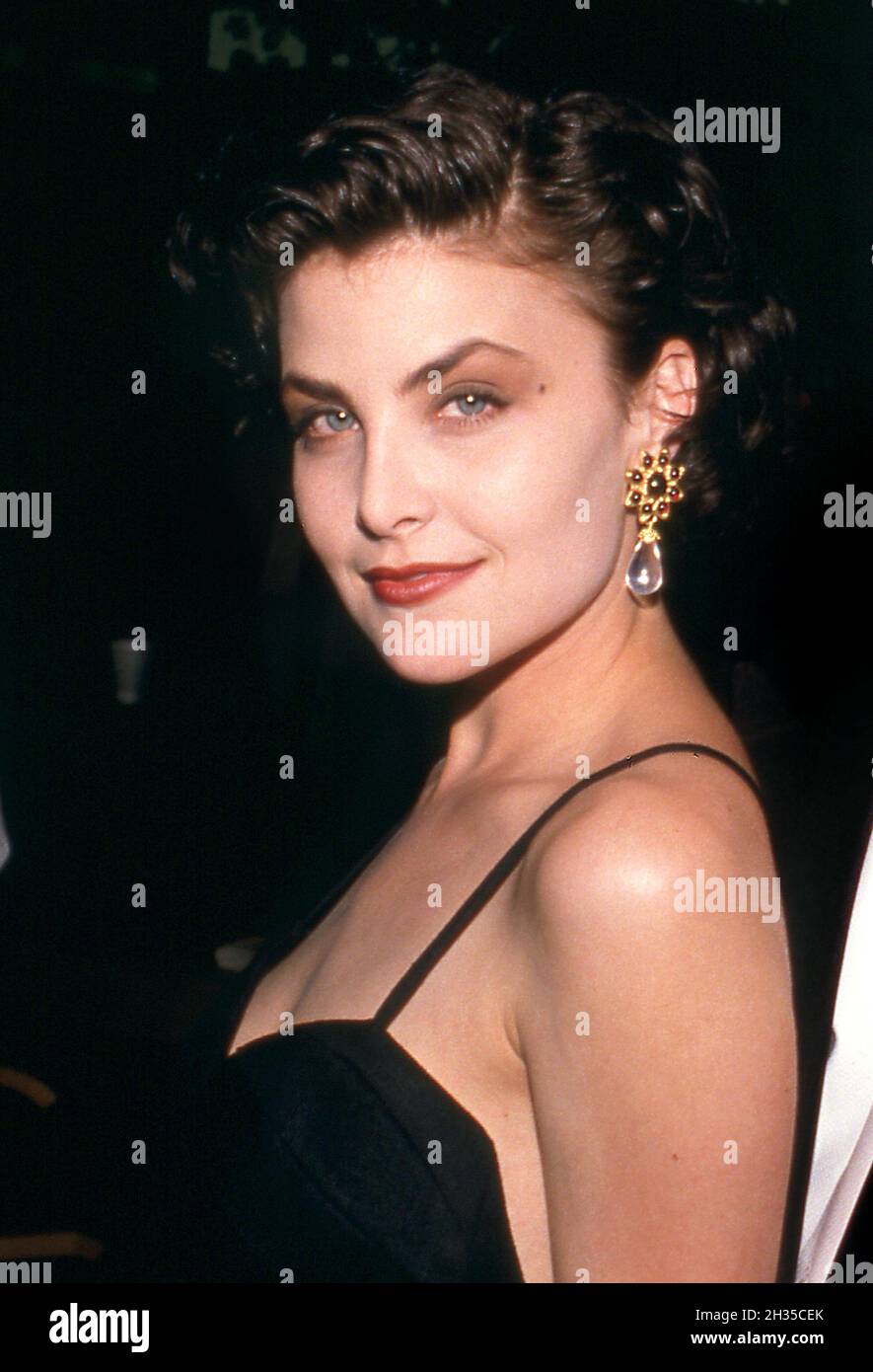 Sherilyn Fenn at the "Great Balls of Fire!" West Hollywood Premiere on ...