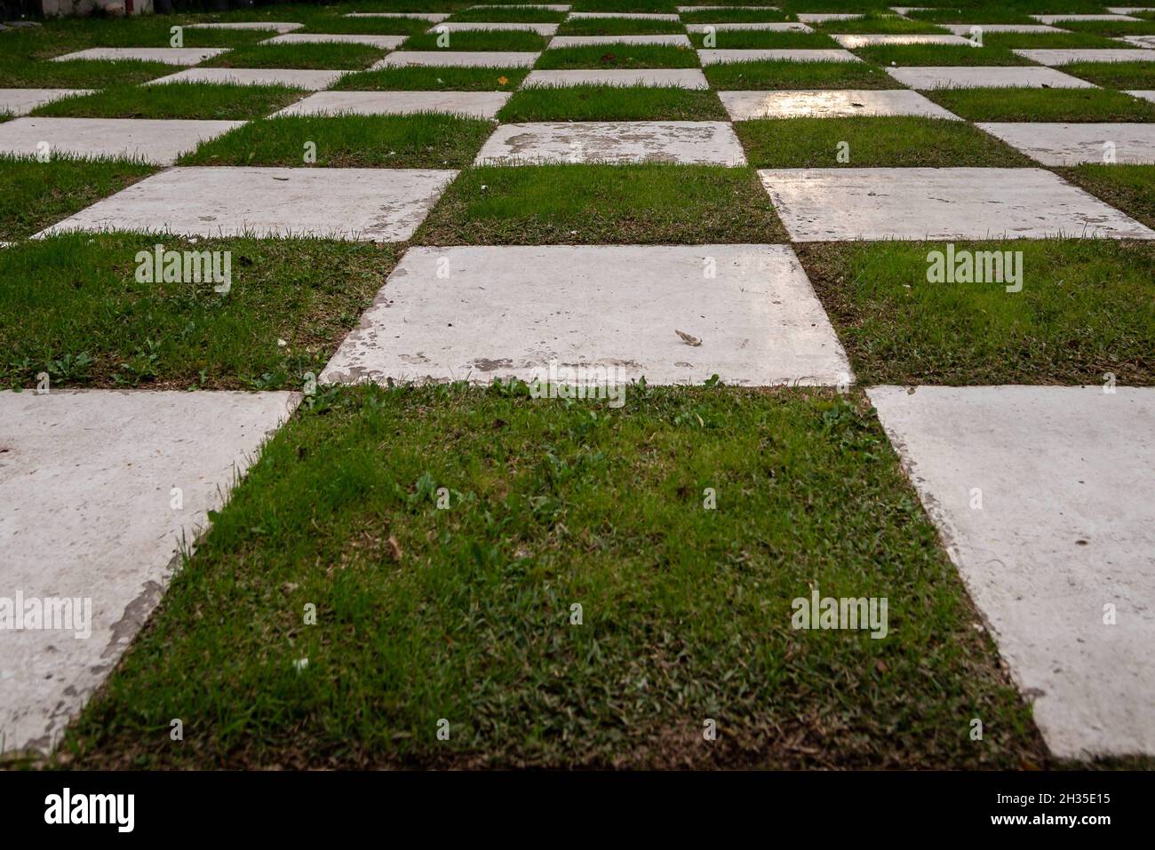 Grid Garden with Grass and Quad White Tiles Stock Photo - Alamy