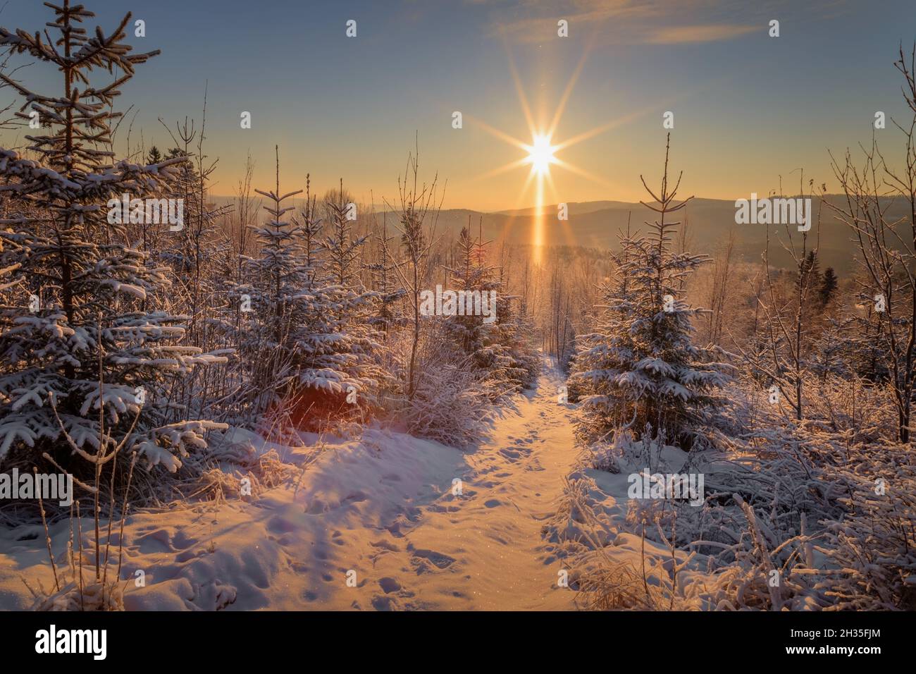 winter, forest, mountain, landscape with path towards sun with beams ...