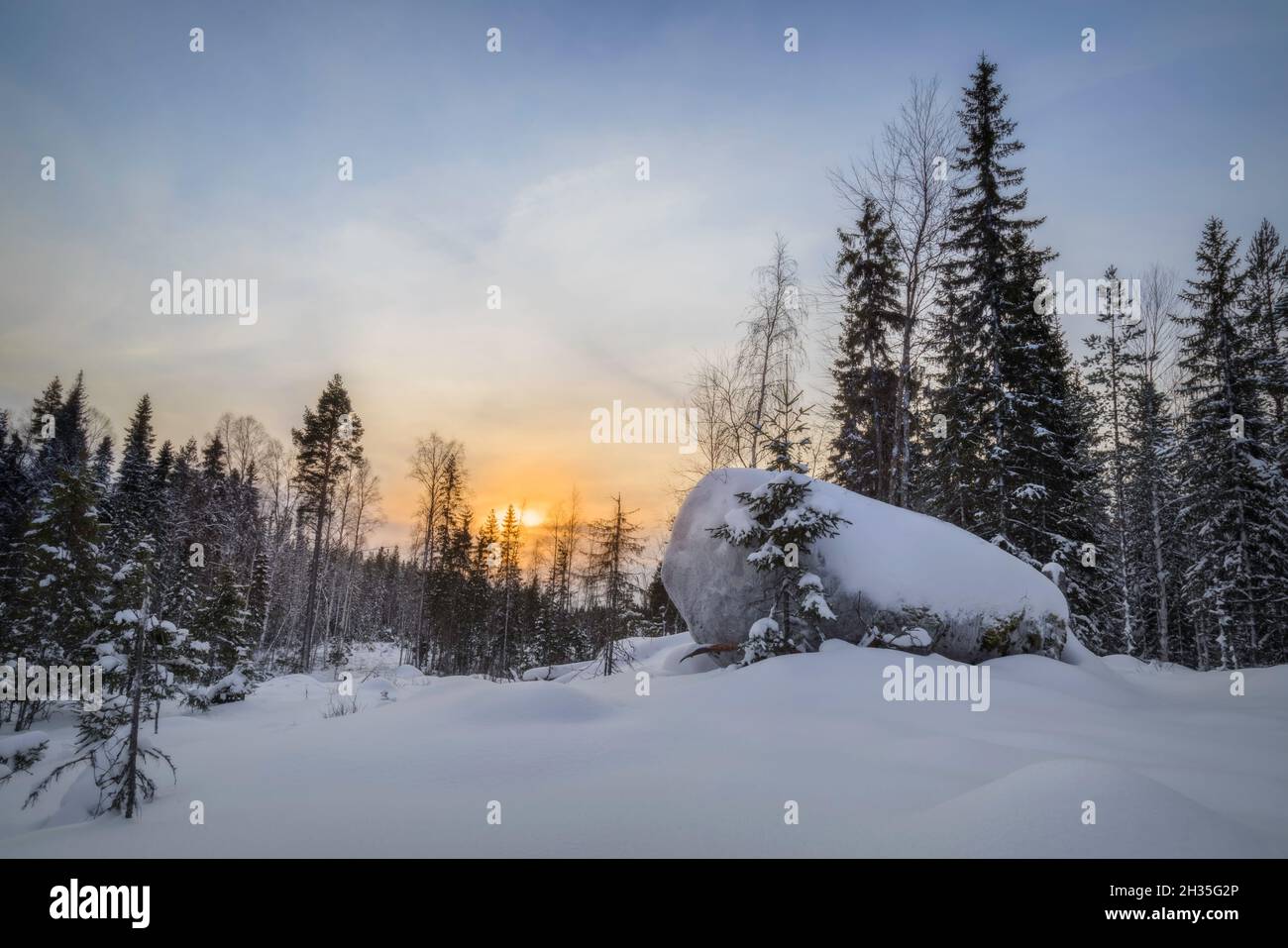 Zen frozen ice snow tree hi-res stock photography and images - Alamy