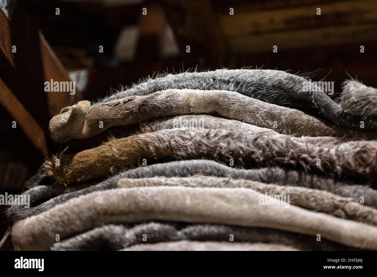 Salty skin hi-res stock photography and images - Alamy