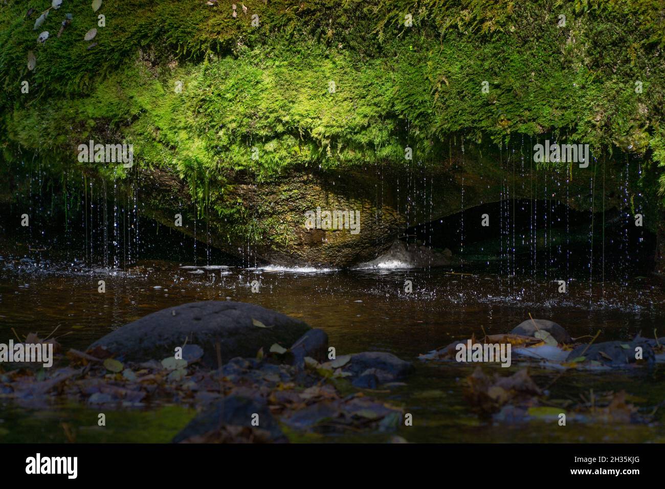 Water dripping from cliff Stock Photo - Alamy