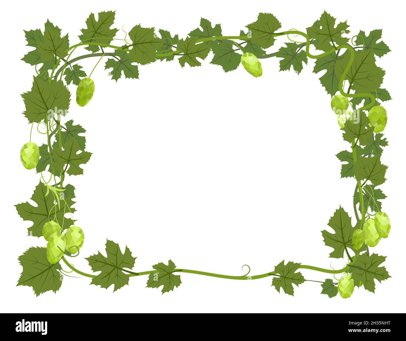 Hops Border Vector