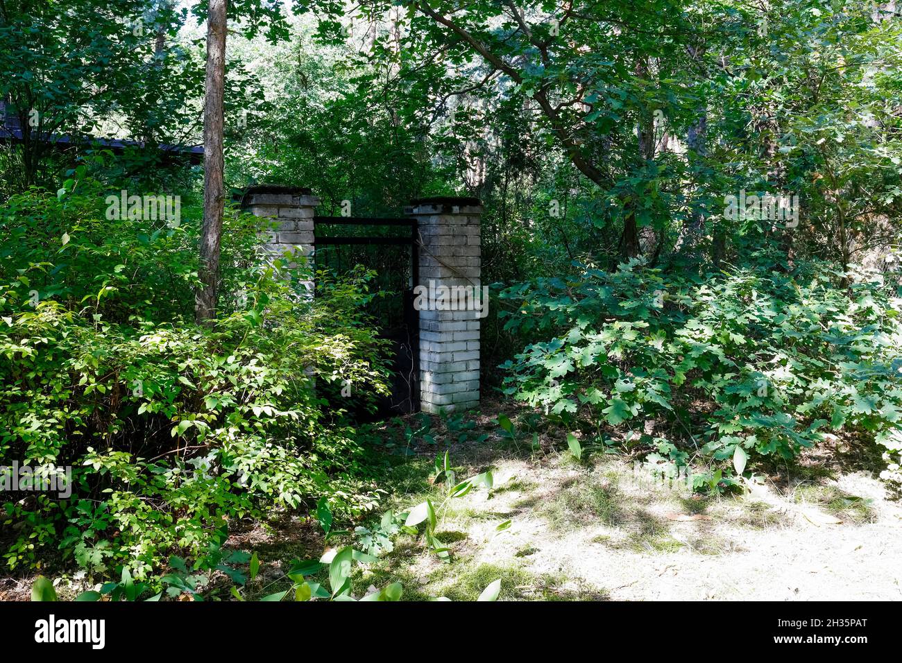 A metal gate attached to brick poles leads somewhere into the forest ...