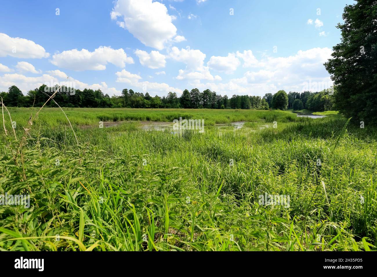 Small park grass land hi-res stock photography and images - Alamy