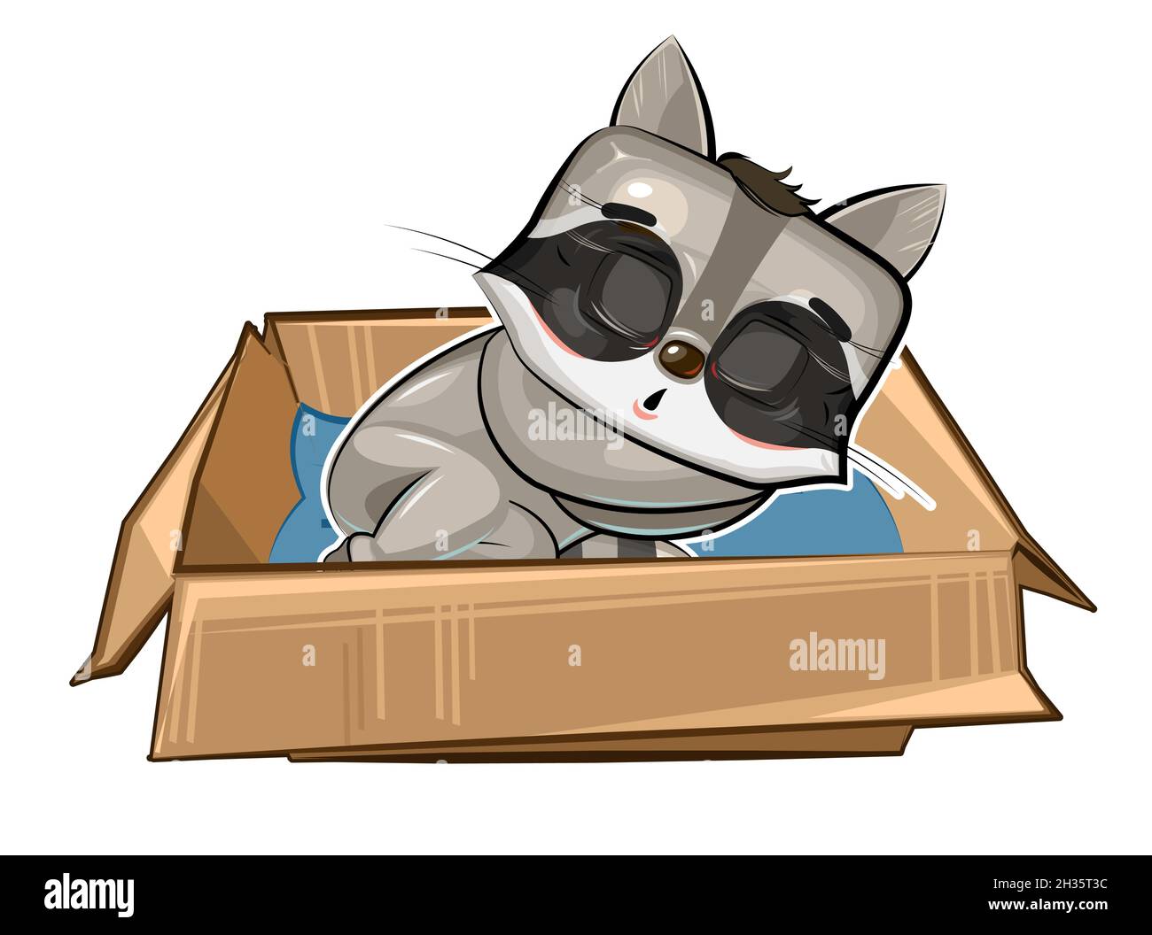 The Raccoon sleeps in a cardboard box. A pet as a gift or a homeless ...