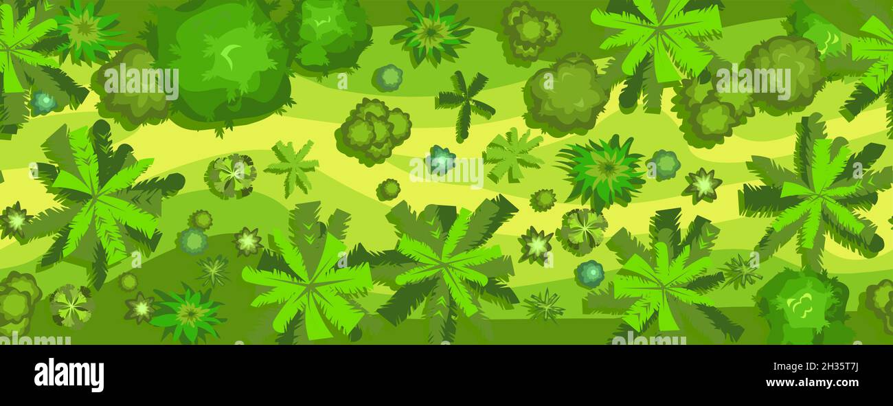 Clearing in Jungle forest top view. Horizontal seamless composition ...