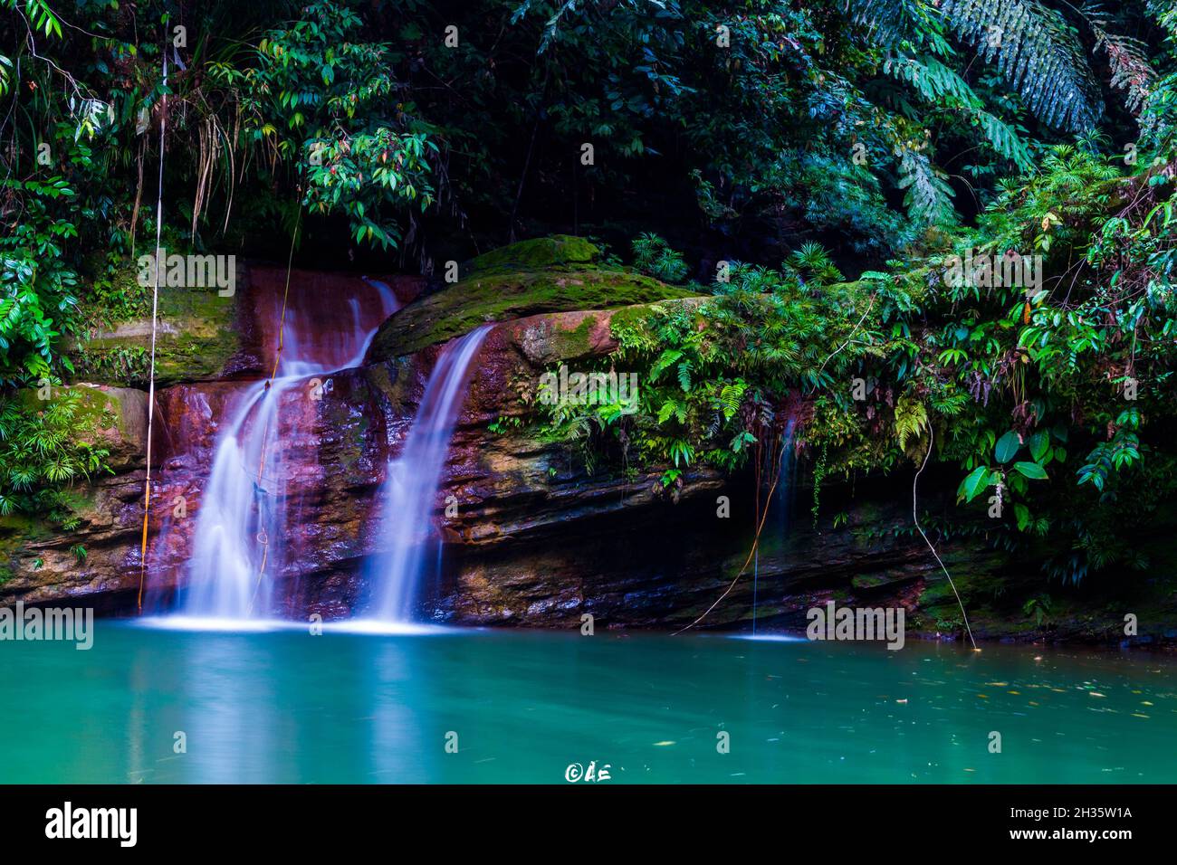 Brunei jungle hi-res stock photography and images - Alamy