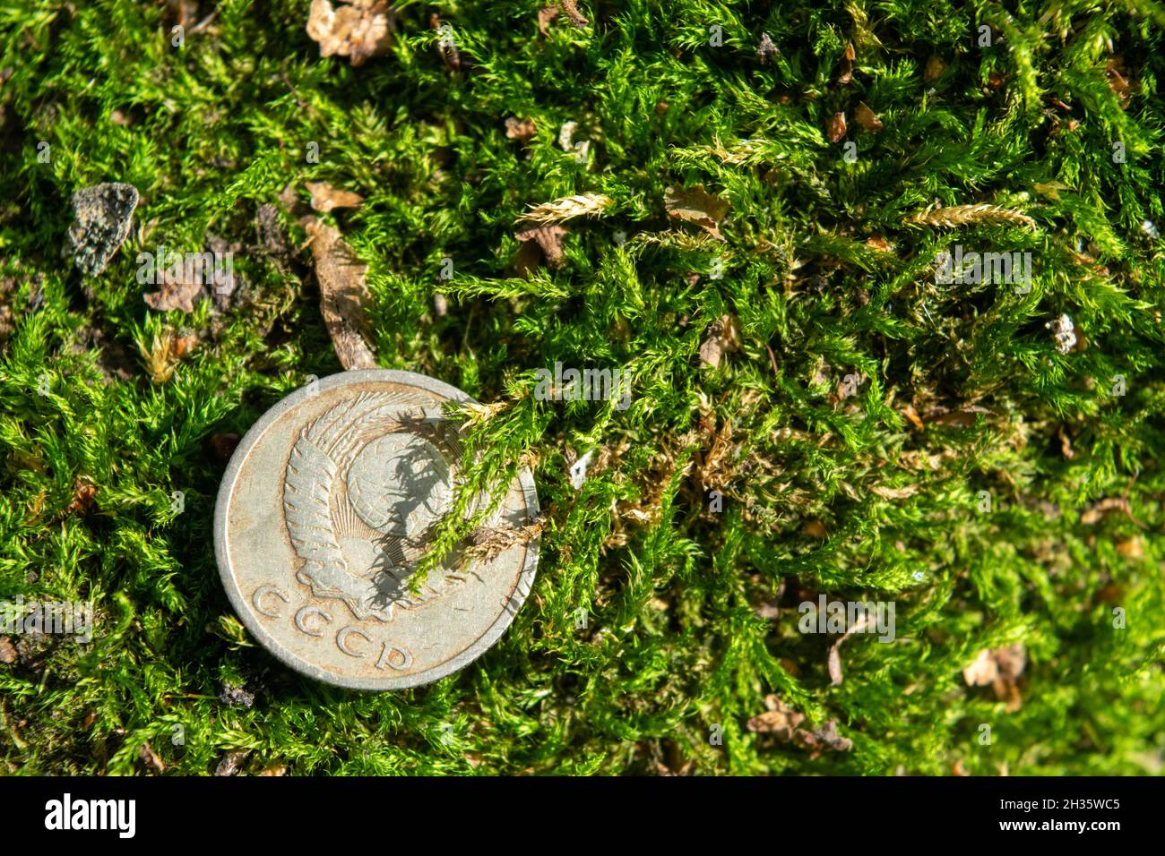 Copper coin grass hi-res stock photography and images - Alamy