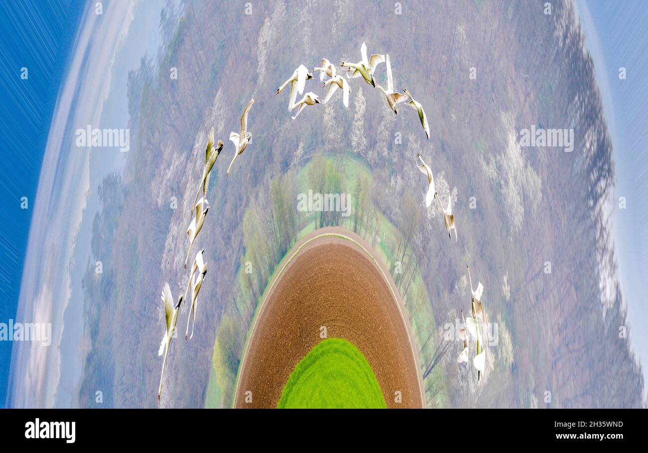 Spherical abstract panoramic aerial view in a field with fantastic ...