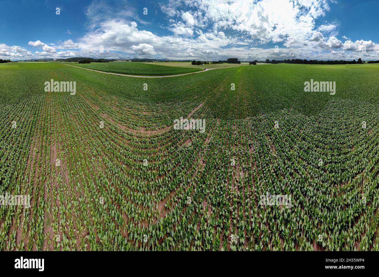 Spherical abstract panoramic aerial view in a field with fantastic ...