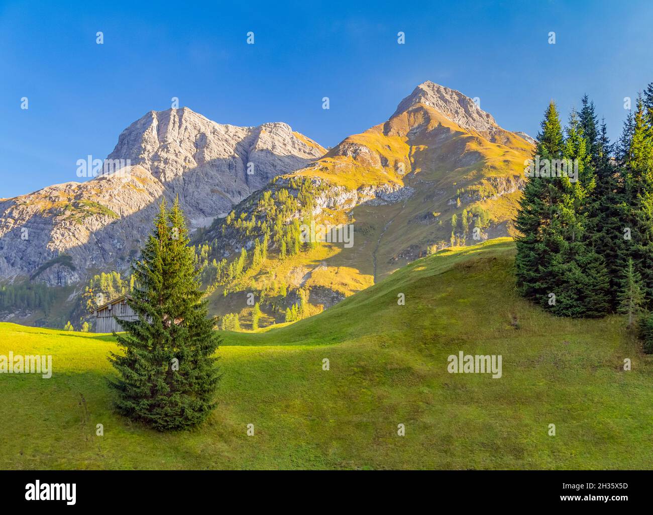 Idyllic scenery around Warth, a municipality in the district of Bregenz ...