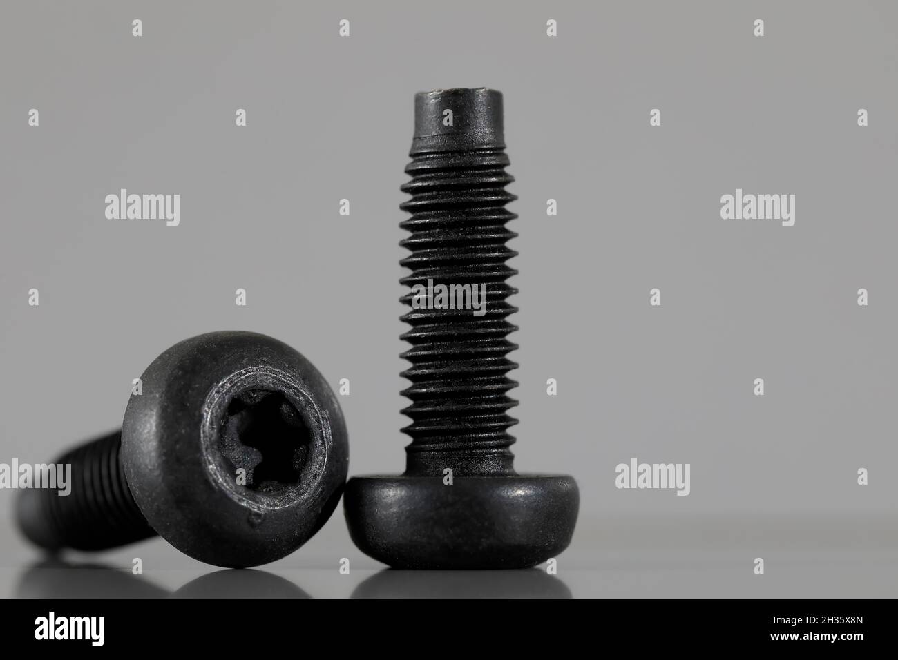 These two same black coated special screws are targeted for use in the ...