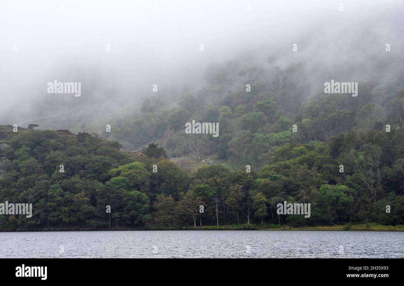 Low lying mist surrounding Llyn Gwynant in the Gwynant Valley ...