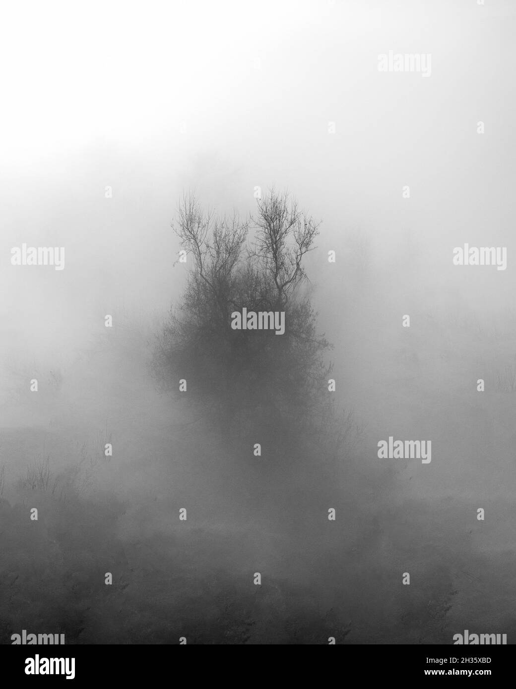 Natural view Black and White Stock Photos & Images - Alamy
