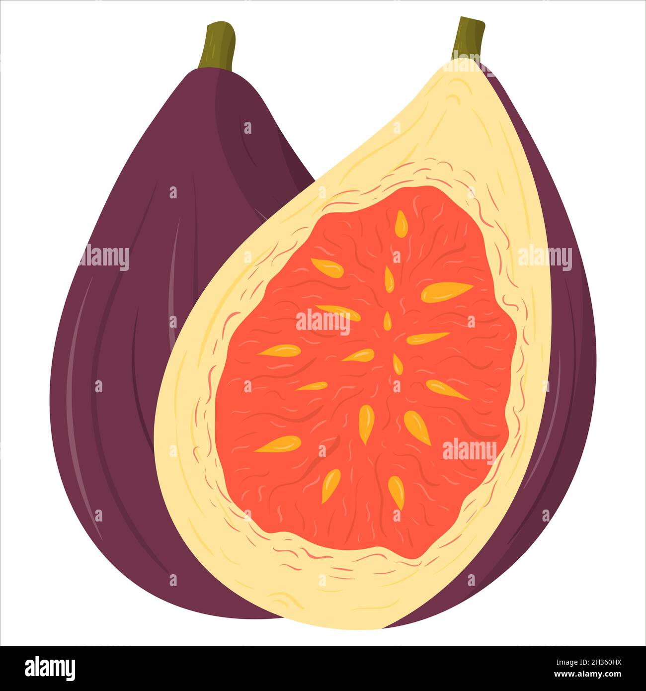 Cartoon illustration with colorful fig fruit. Farm market product ...