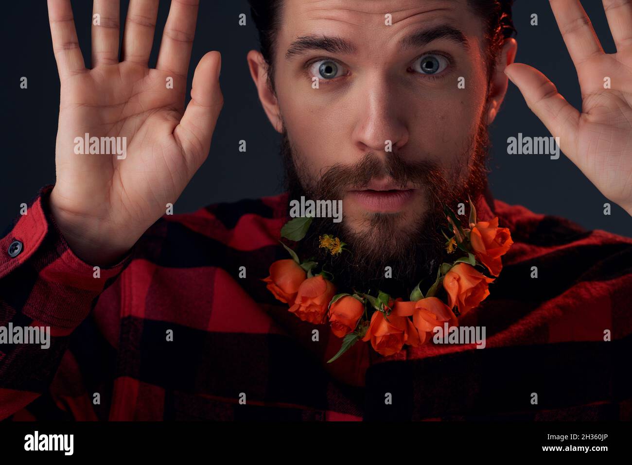 bearded man with flowers in a beard in a plaid shirt dark background ...
