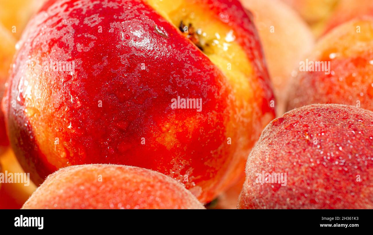 Closeup photo of wet peel of ripe red peaches. Abstract background of ...