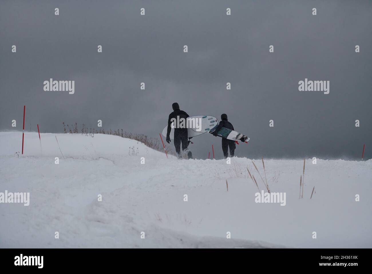 Authentic local Arctic surfers running on snowy beach after surfing in ...