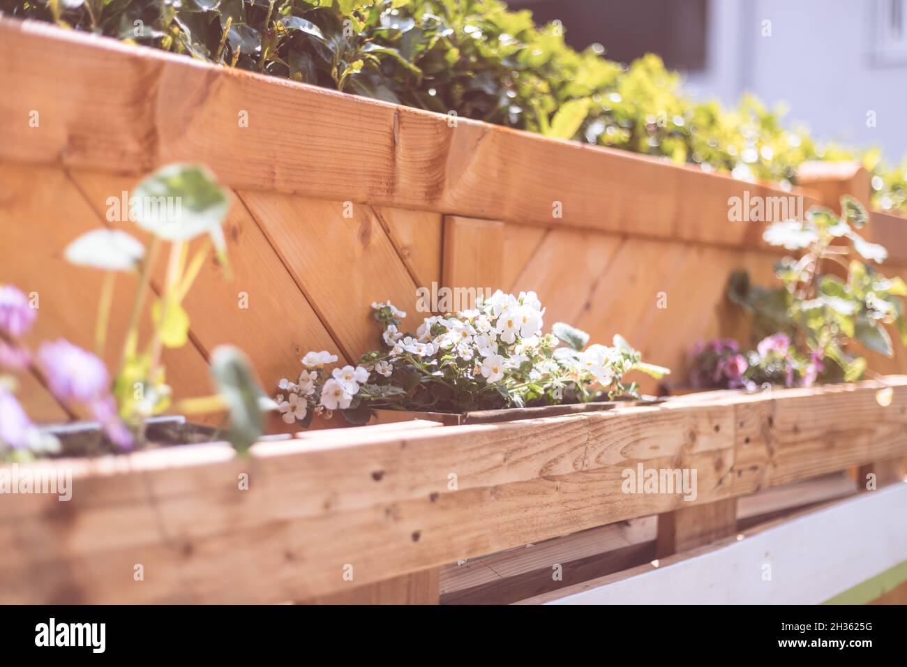 Spring flowers on self-made wooden flower box, euro palette Stock Photo ...
